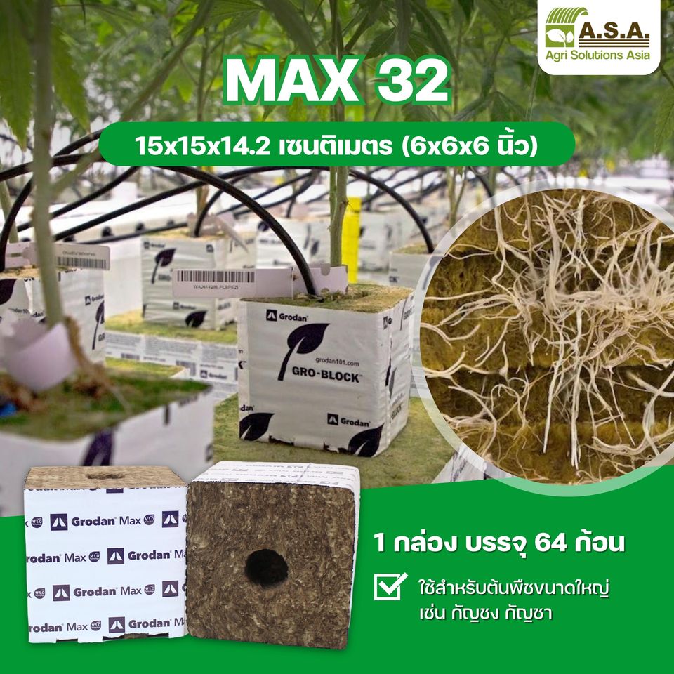 Grodan Max 32 Block - Agri Solutions Asia