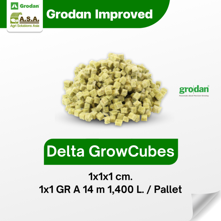 Grodan rockwool Grow Cubes - Agri Solutions Asia