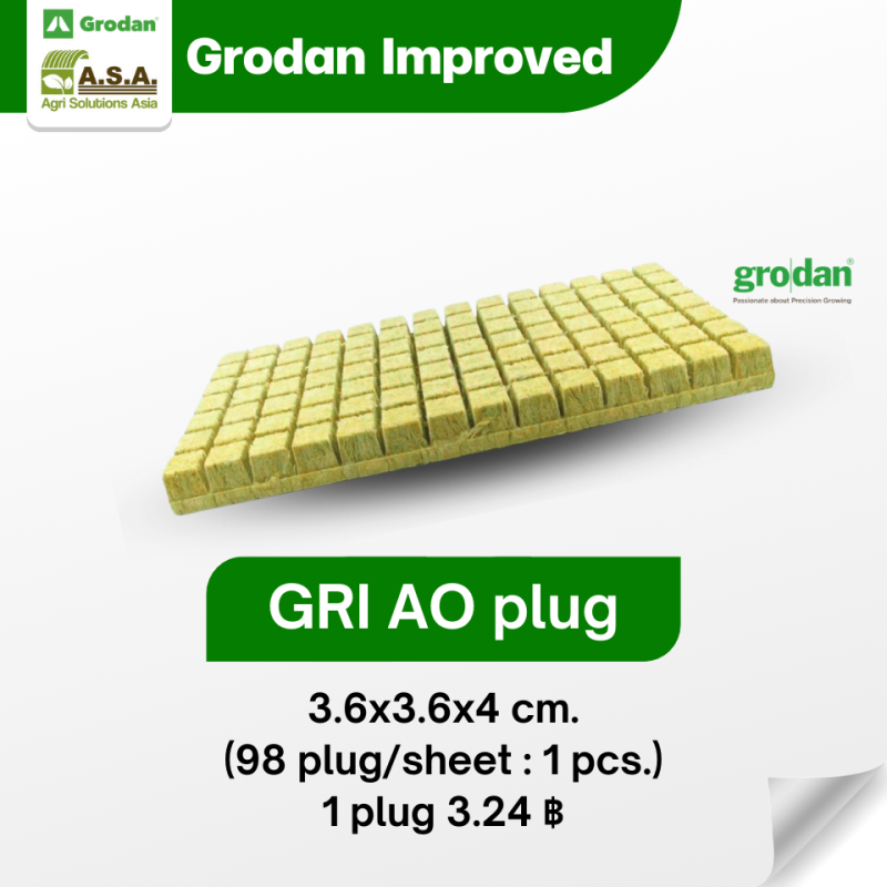 Grodan improved AO plug Grodan improved AO plug - Agri Solutions Asia