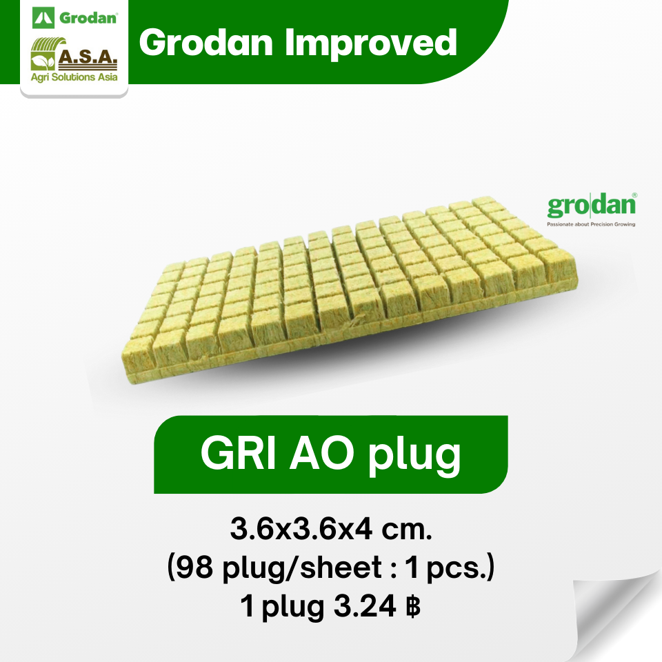 Grodan - Agri Solutions Asia