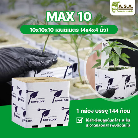 Agri Solutions Asia: Leading Greenhouse Technology in South East Asia