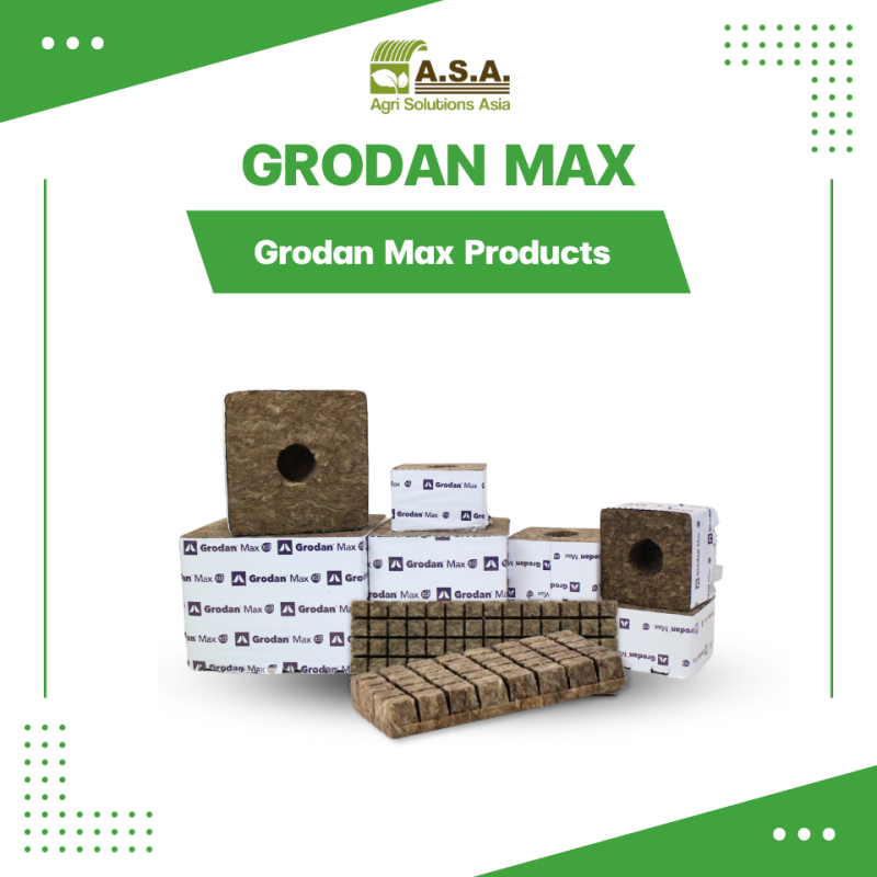 Grodan - Agri Solutions Asia